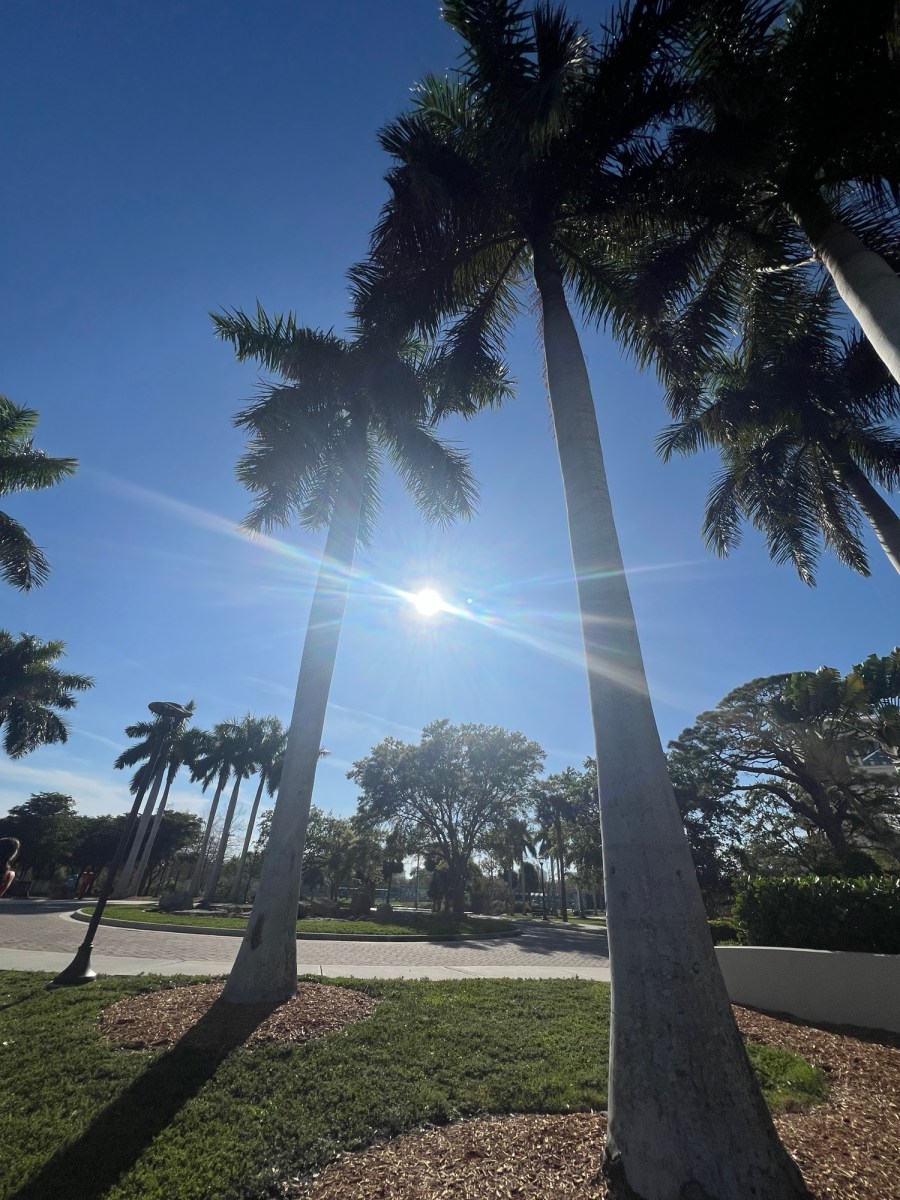 Sunny Sarasota: Beautiful beaches, city life, and food options – Matt ...
